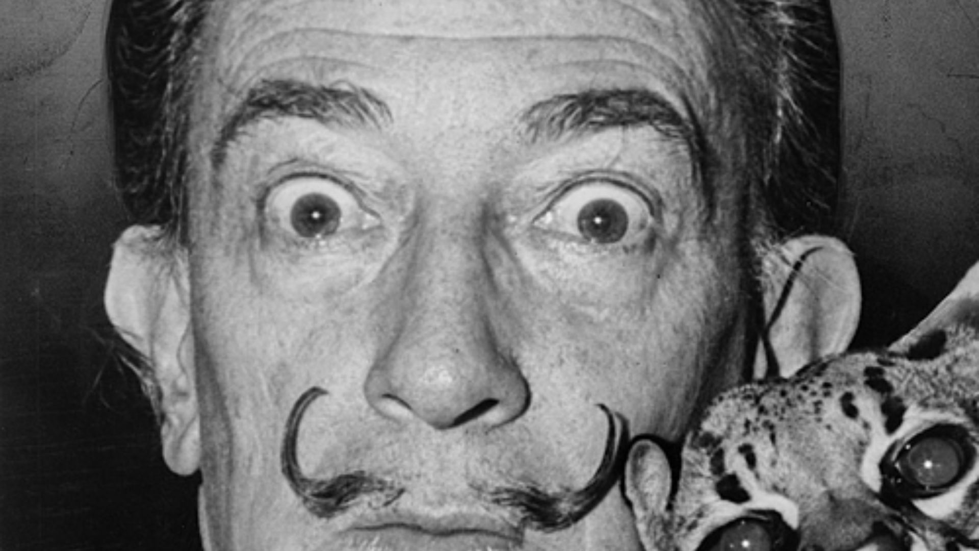 20 greatest moustaches in history
