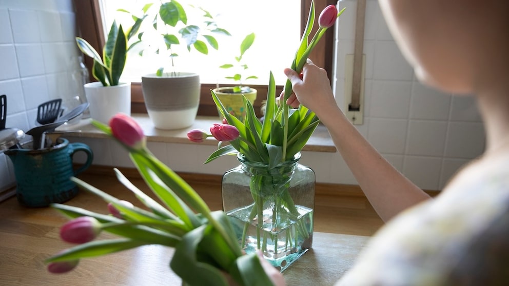 Tulpen Langer Frisch Hausmittel