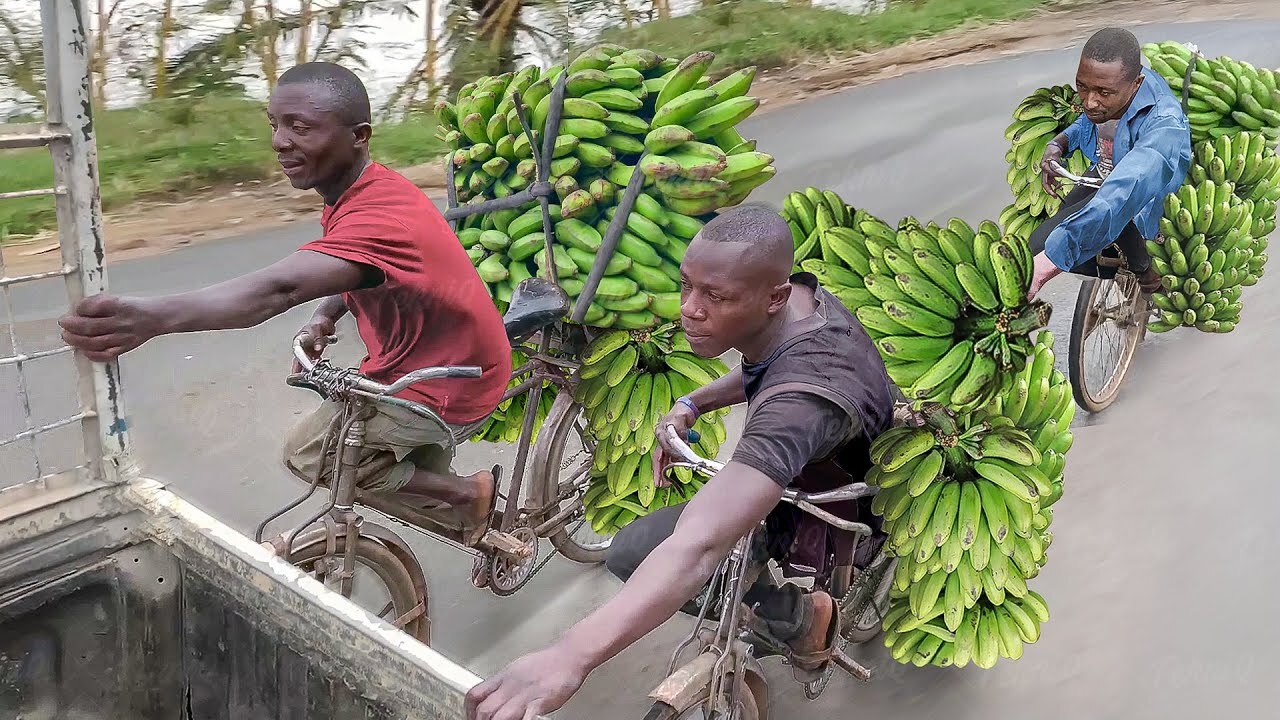 Innovative method of banana transportation in Africa