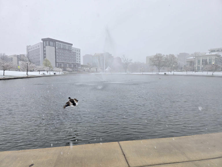 Alabama winter weather prompts early school dismissals, closures Monday ...