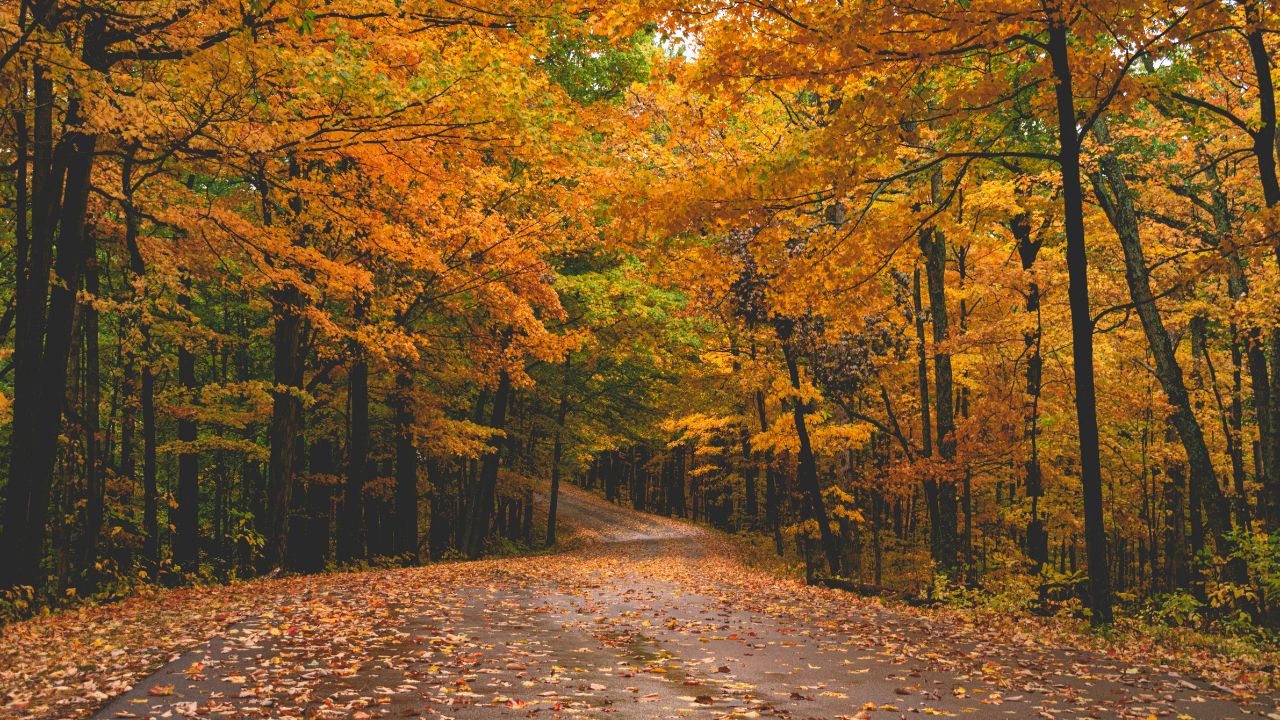We need to talk about these 9 drives before you book that rental car