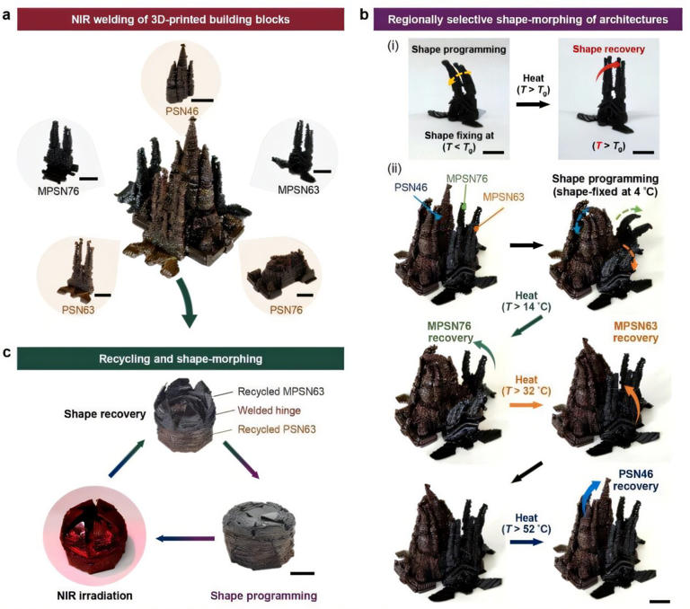4D printing technology uses waste sulfur to enable self-actuating soft ...