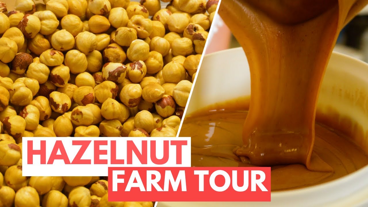 The art of crafting hazelnut butter in Piedmont