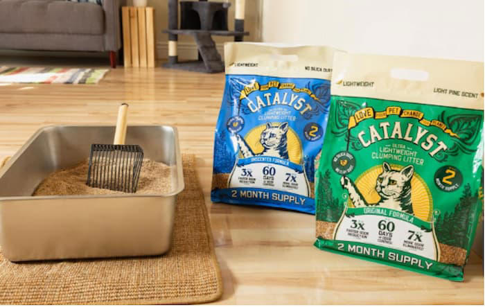 Catalyst Pet natural cat litter review: A veterinarian’s honest take