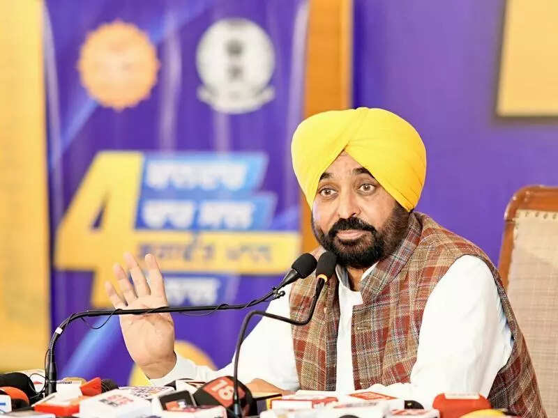Mann lists power, jobs, welfare gains as AAP govt marks 4 years in office