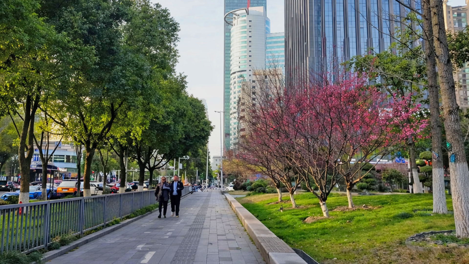 Aménagement urbain : des rues animées transformées en promenades ...
