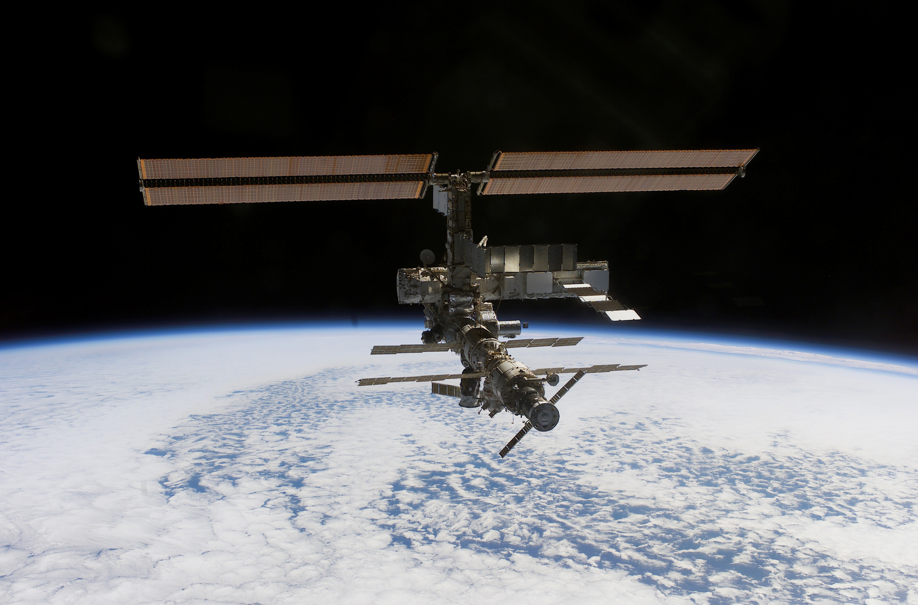 These space-faring mice are helping scientists figure out how to keep ...
