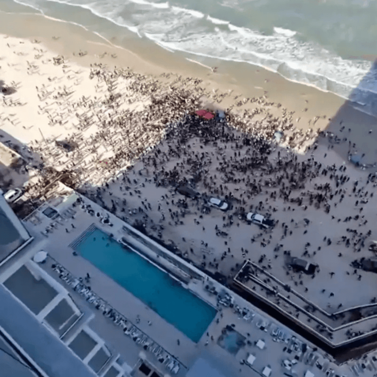 Police reveal mundane noise which sparked mass stampede at Florida ...