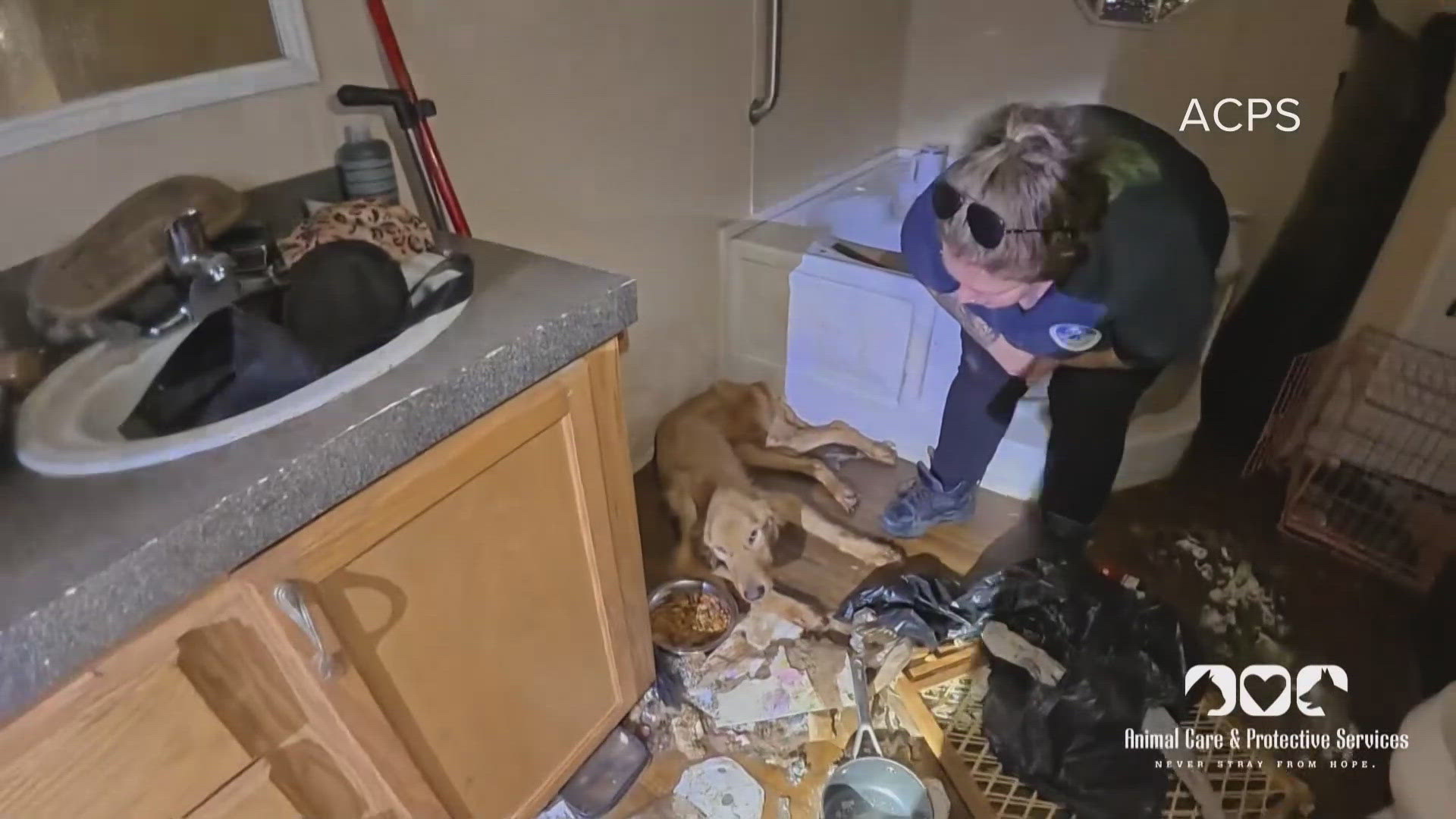 Left behind: Dog dead, two rescued after being left for 13 days