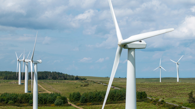 It takes almost a decade for wind turbines to pay off - here's why
