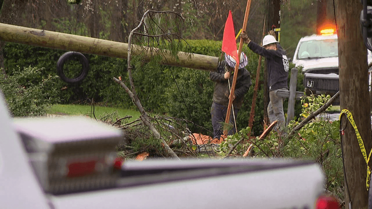 Strong winds in Henderson County knock down trees, cutting power