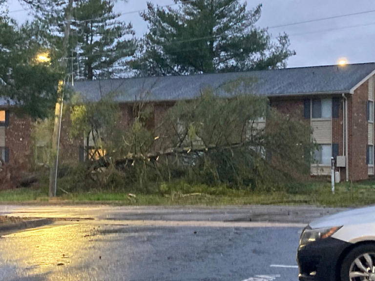 Latest: Thousands of power outages, several downed trees cleared in the ...