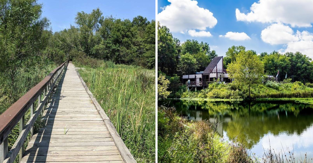 This Oklahoma nature preserve has magical boardwalk trails through the ...