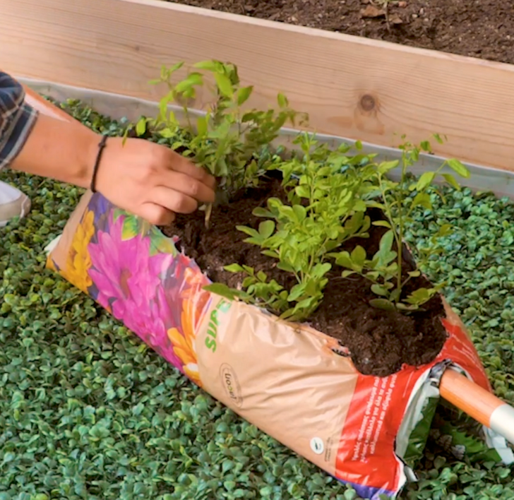 Quick garden solutions: Hacks for every green thumb