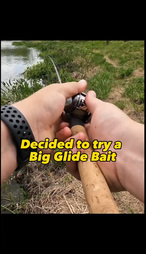 Big bait bass: What is your favorite glide bait?
