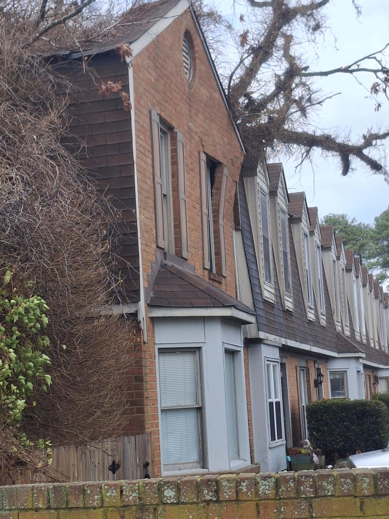 Homes in Virginia Beach damaged from storm