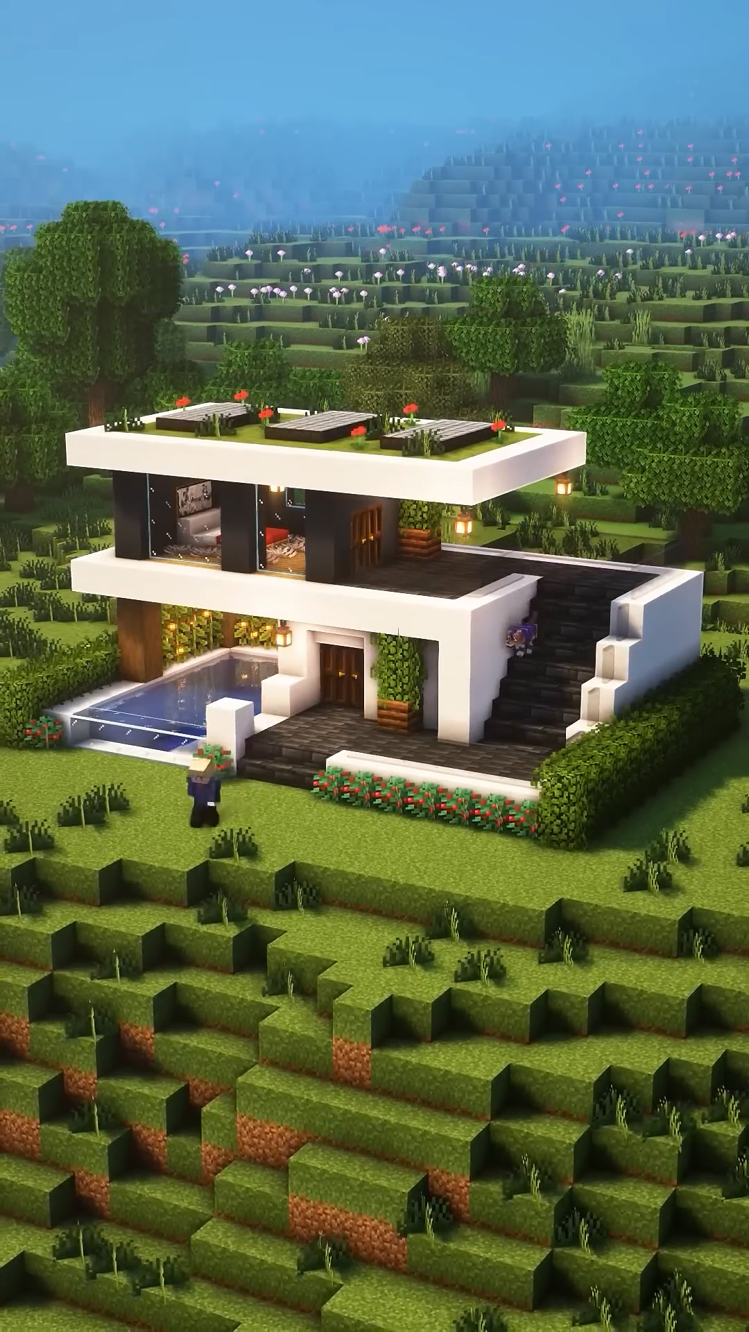 Small modern house that makes survival safer