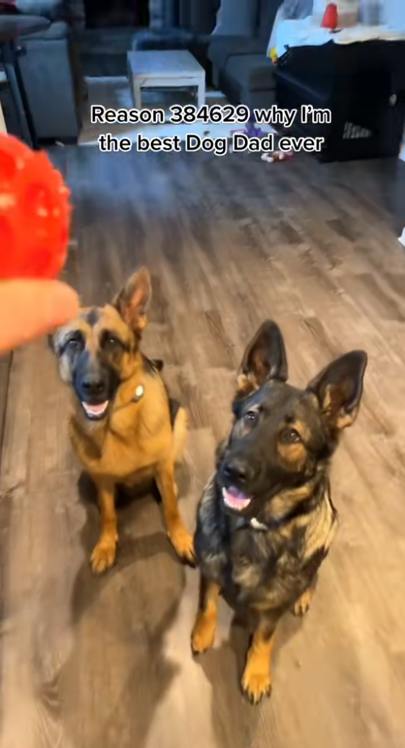 Keeping the girls happy one treat at a time