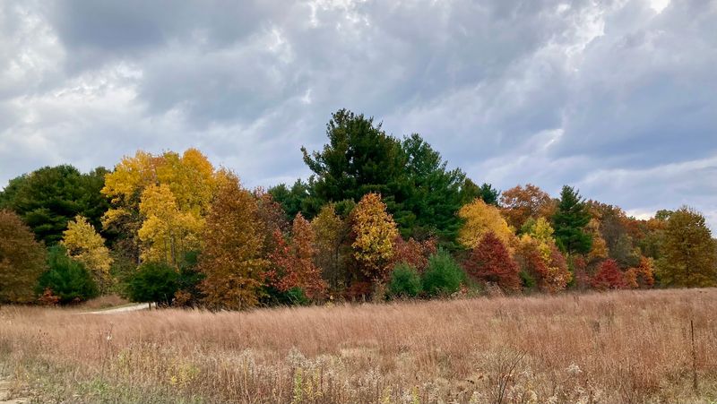 This 11-mile Indiana wetland trek is where sand prairies meet hardwood ...