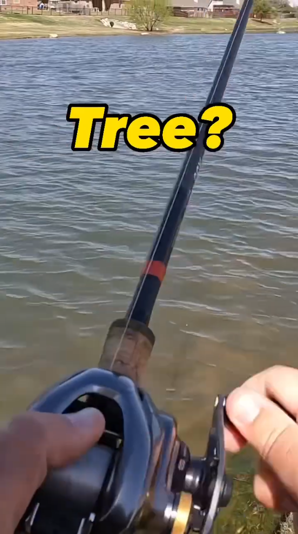 Throwing a 50 dollar lure until I catch a fish