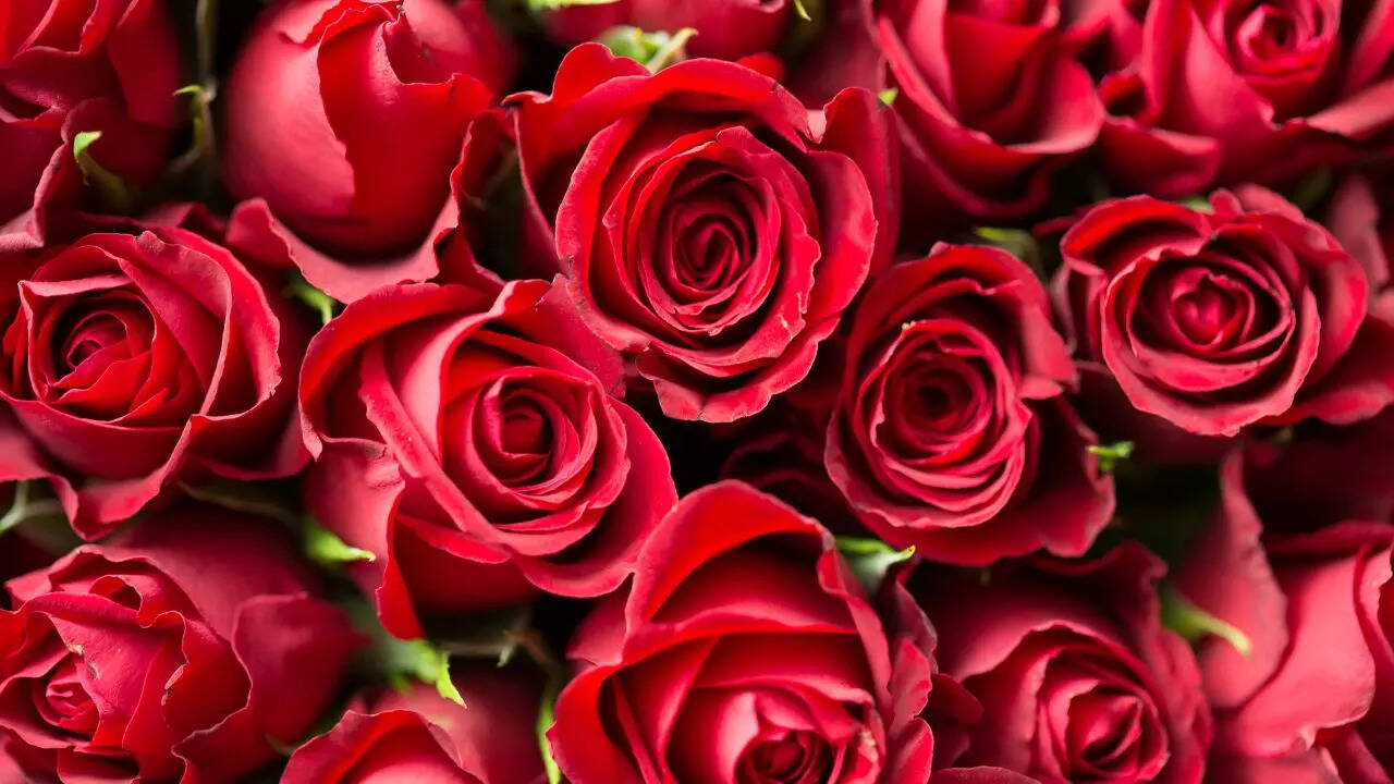 10 home names inspired by flowers from around the world