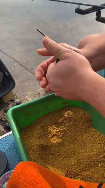 Simple carp rig techniques for more catches