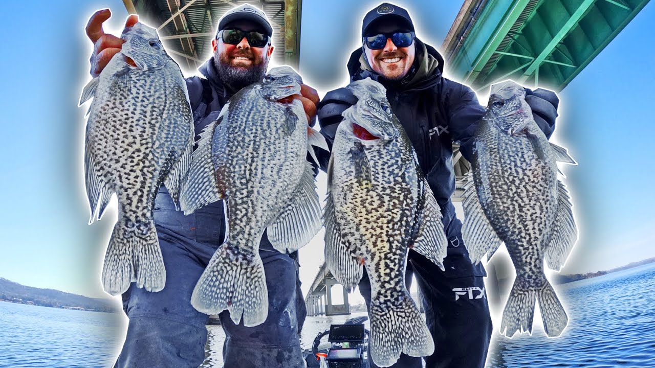 Catch monster crappie using jig techniques