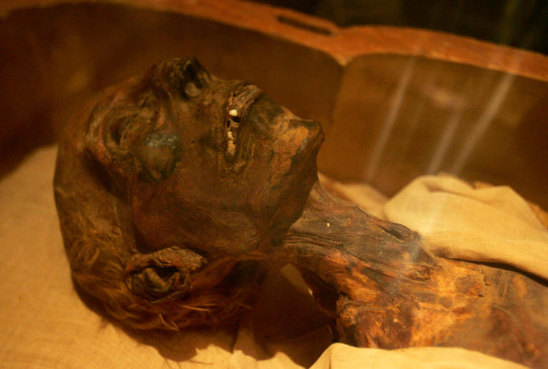 Smell and tell: Scents of Egyptian mummies reveal ancient knowledge