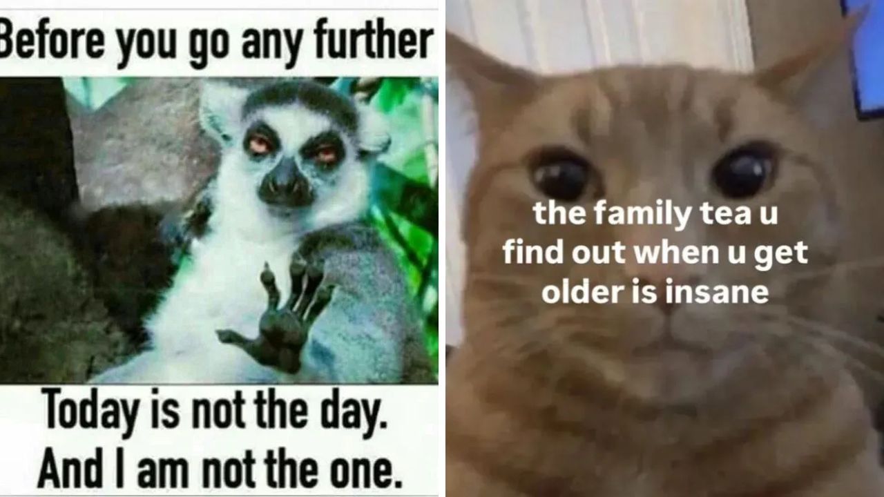 Can you relate to these way too relatable memes?