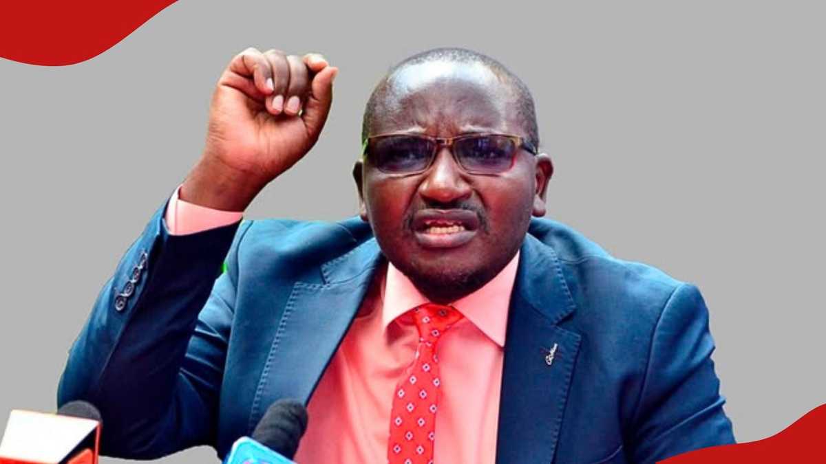 UDA MP wants parliament to debate in Kikuyu, set to table motion ...