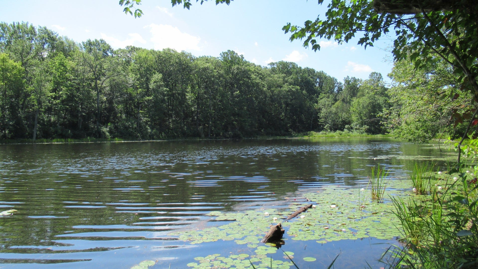 See what $1M in open space funds just preserved in Morris County