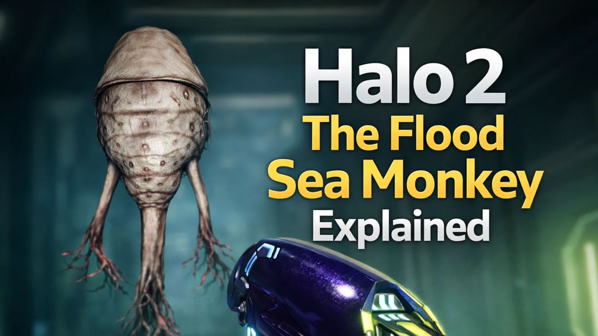 Halo 2: The Flood sea monkey explained