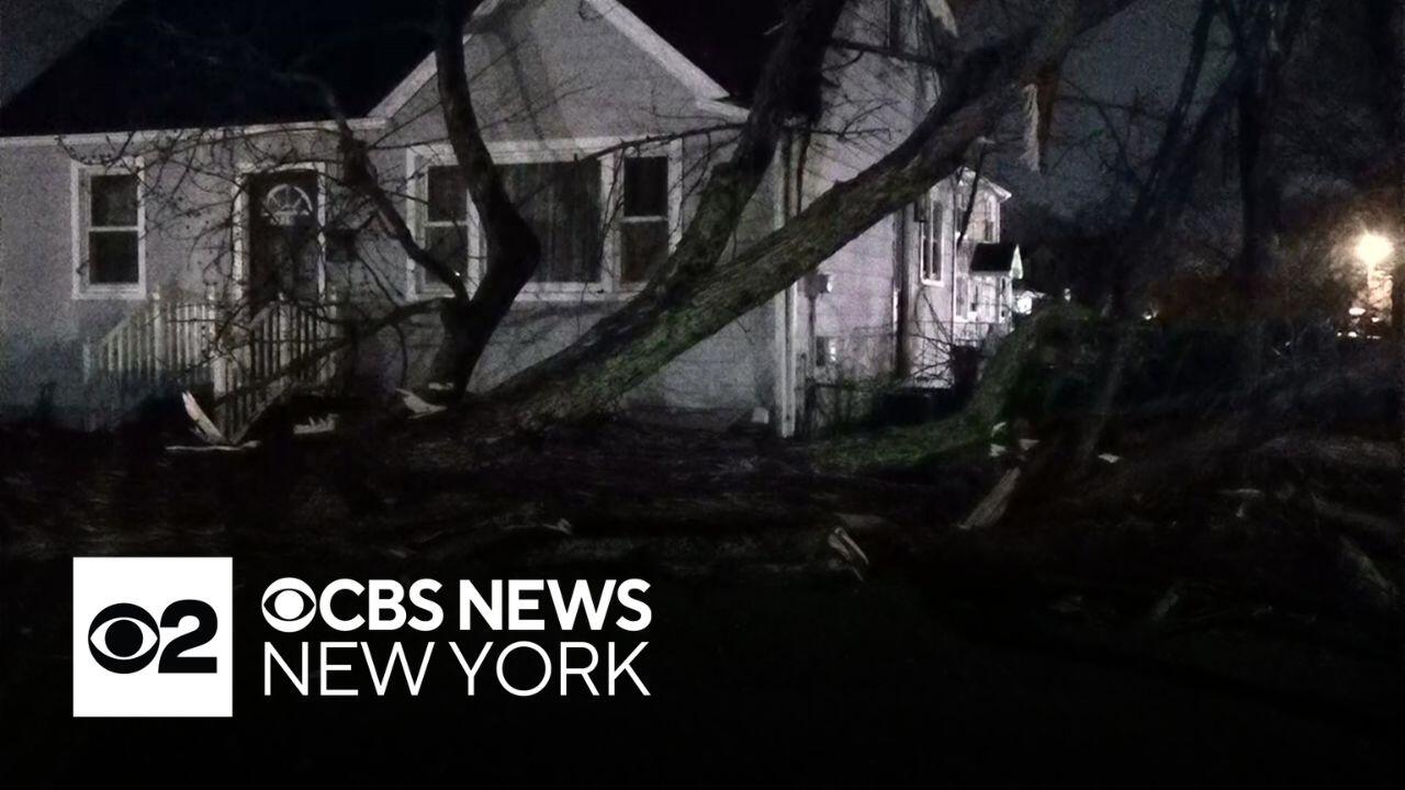 Trees topple on car in Bronx, house in New Jersey during severe storms