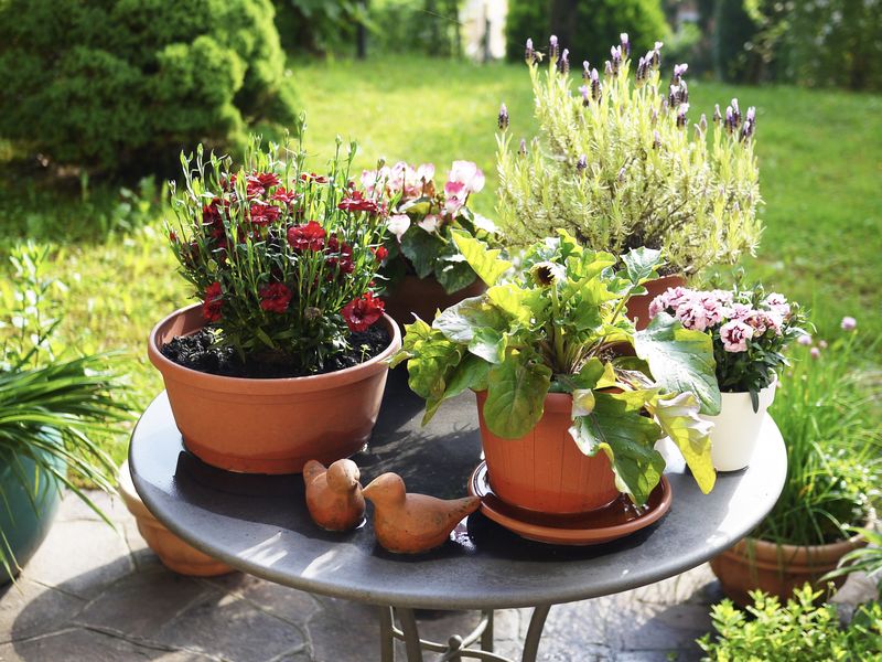 Tschüss, Blumentopf: Dieser Trend 2026 beweist auf dem Balkon guten ...