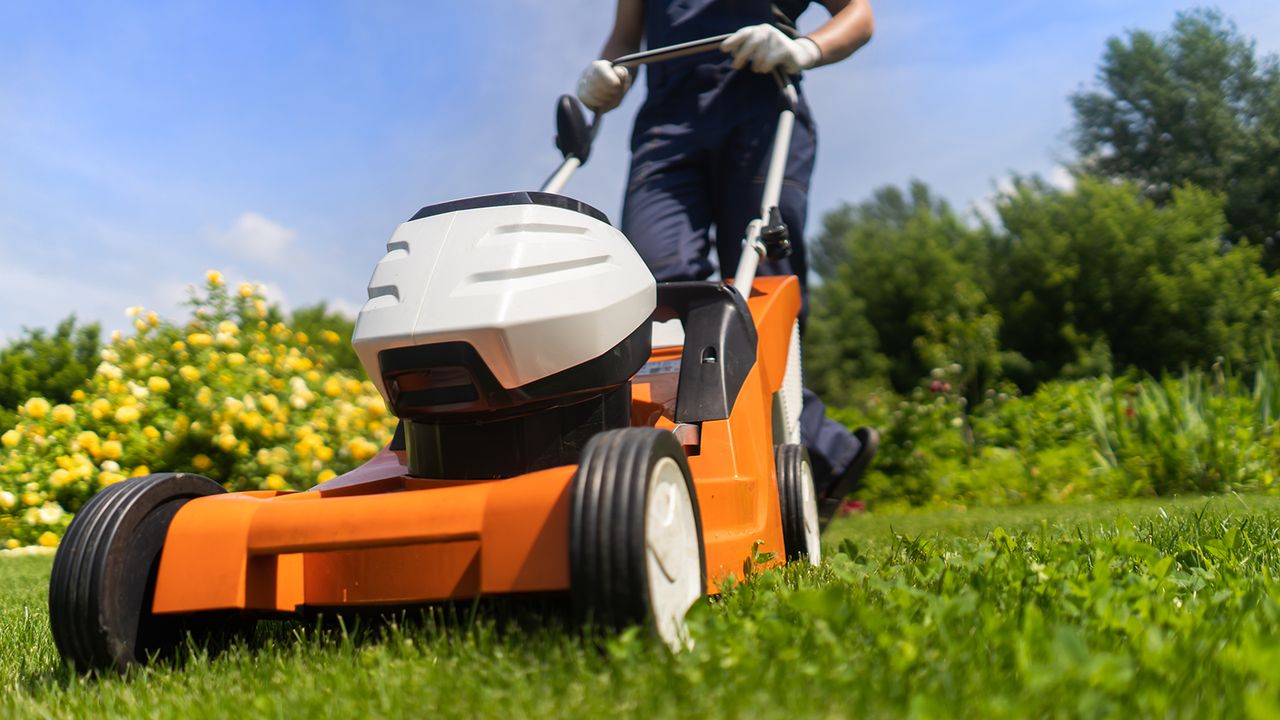 Is it too early to mow: Experts share when to give your lawn its first ...