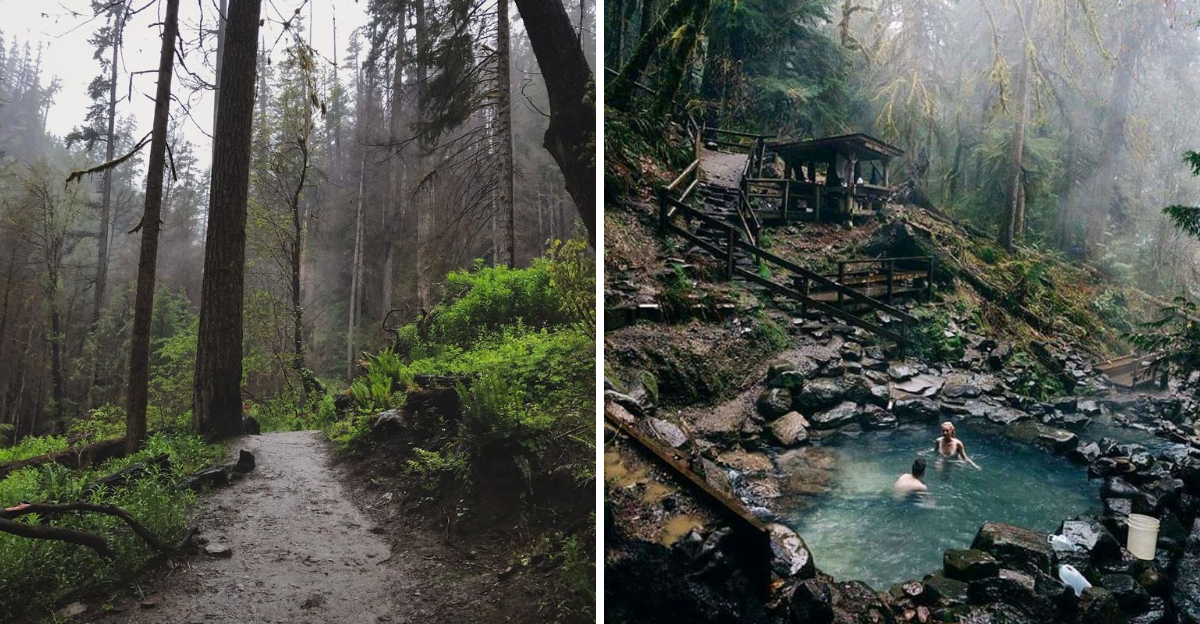 Tucked deep within an Oregon forest lies a hidden oasis of steaming ...