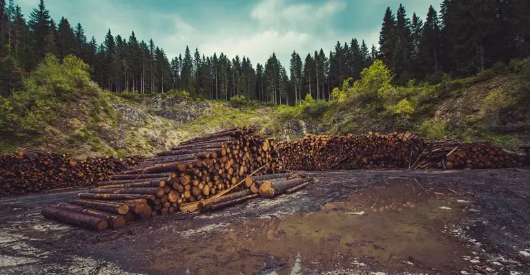 What if carbon isn't the only driver of climate change?