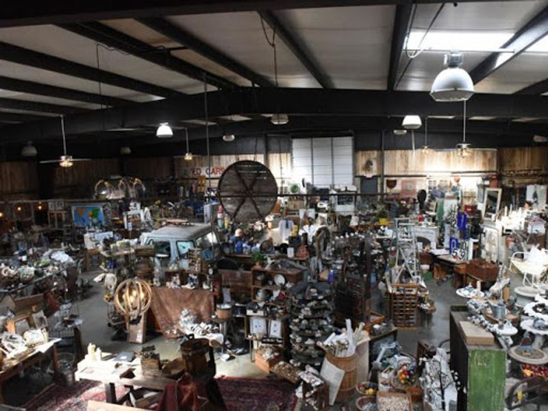 The incredible second-hand shop in Virginia is hiding rare collectibles ...