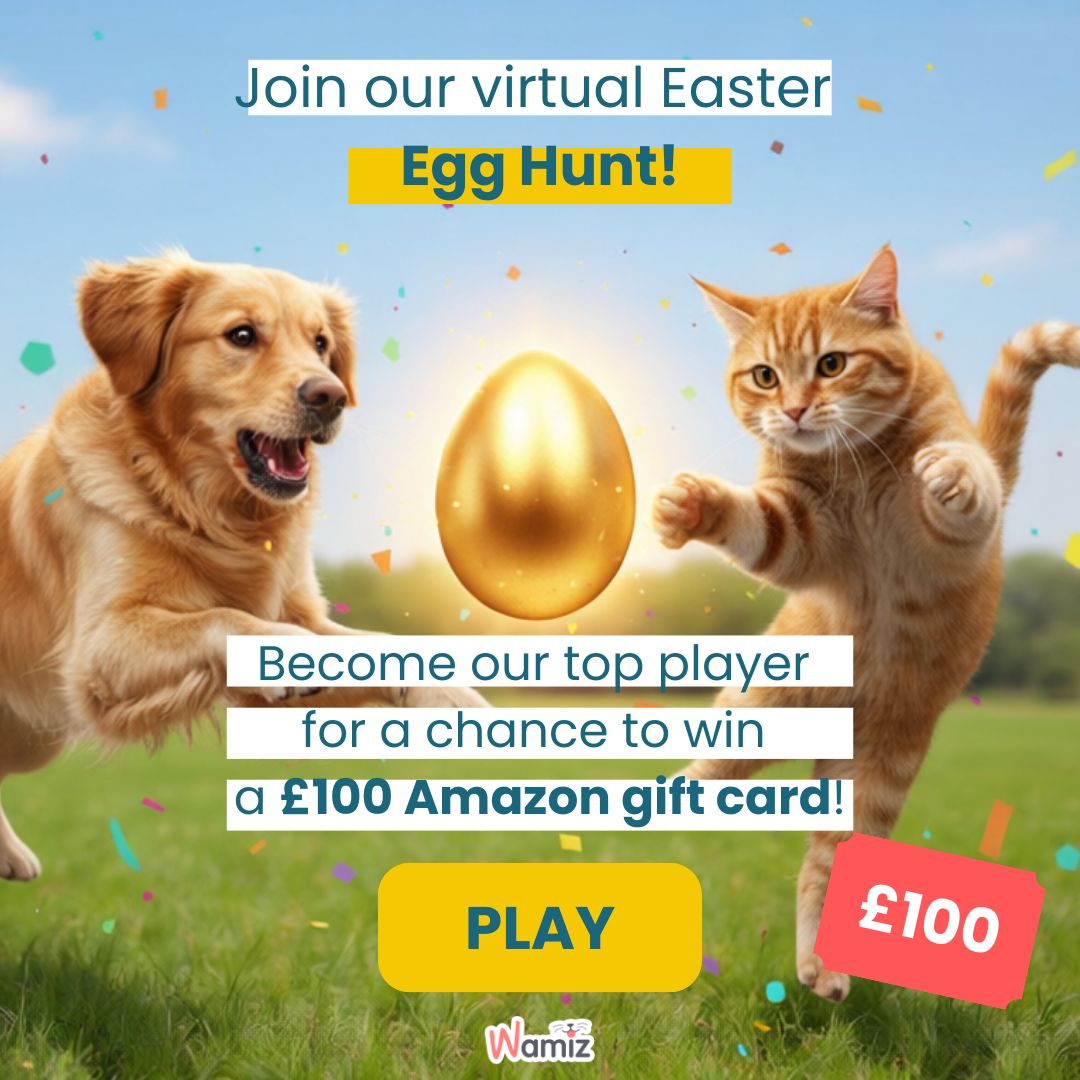 Join our virtual Easter egg hunt: Catch the eggs to win £100