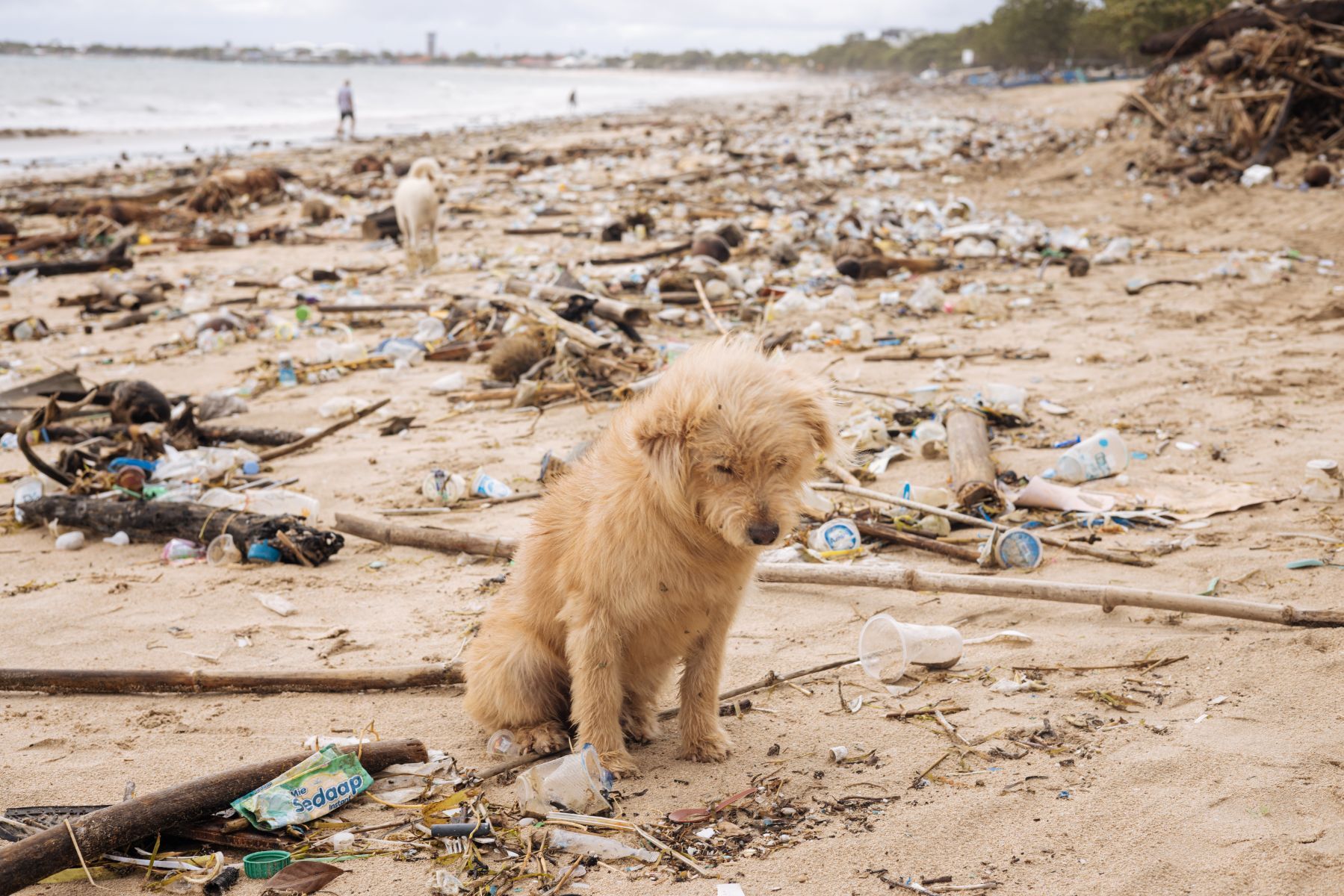 Pollution around the world: 50 photos documenting global environmental ...