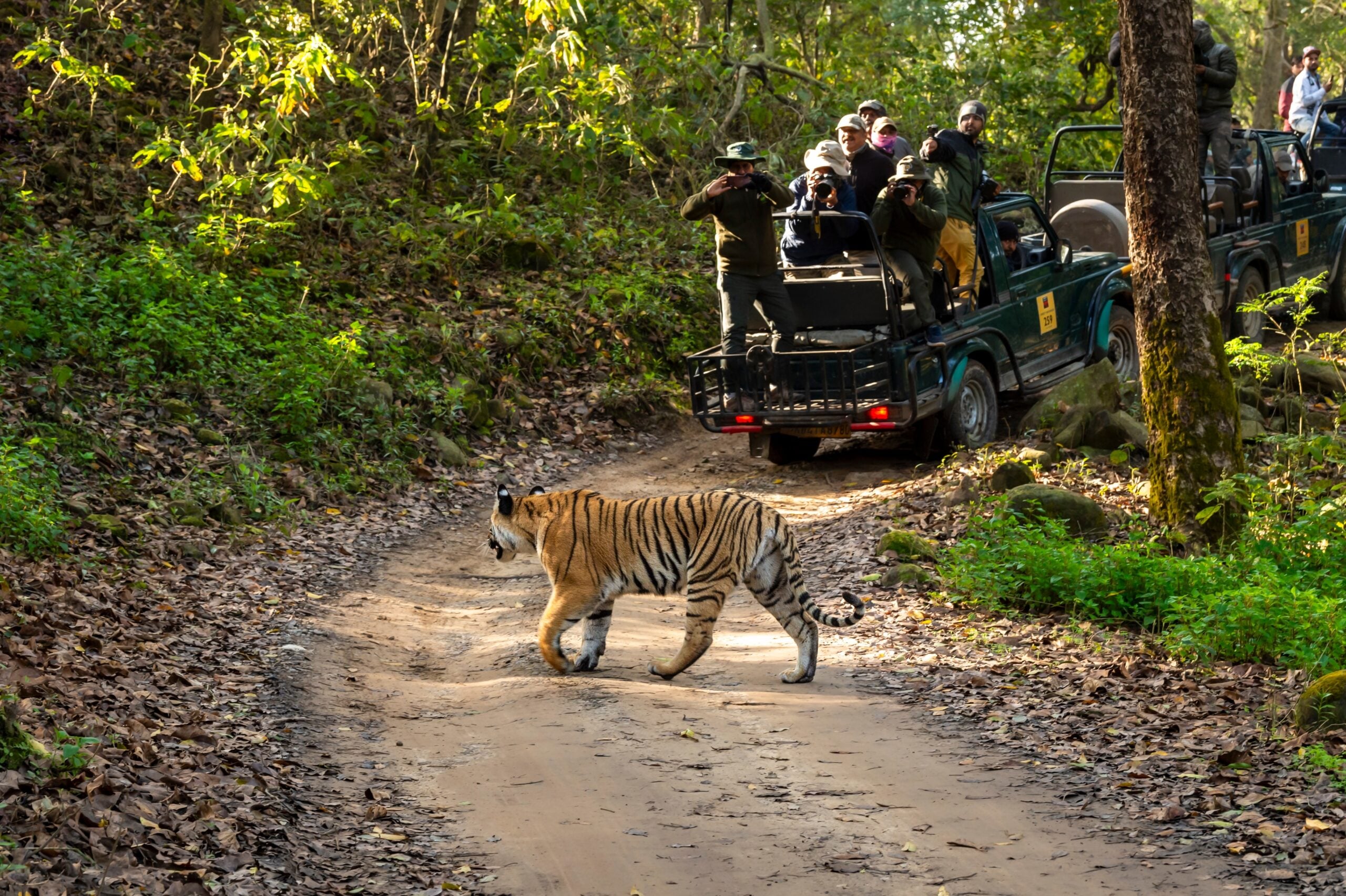 In India, 5 tiger reserves with the highest tiger population where you ...