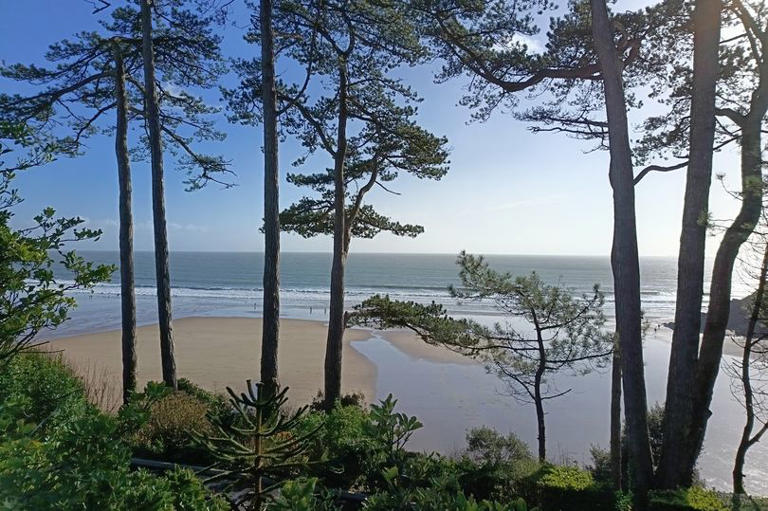 Twenty Welsh beaches awarded Blue Flag status for 2026 - full list