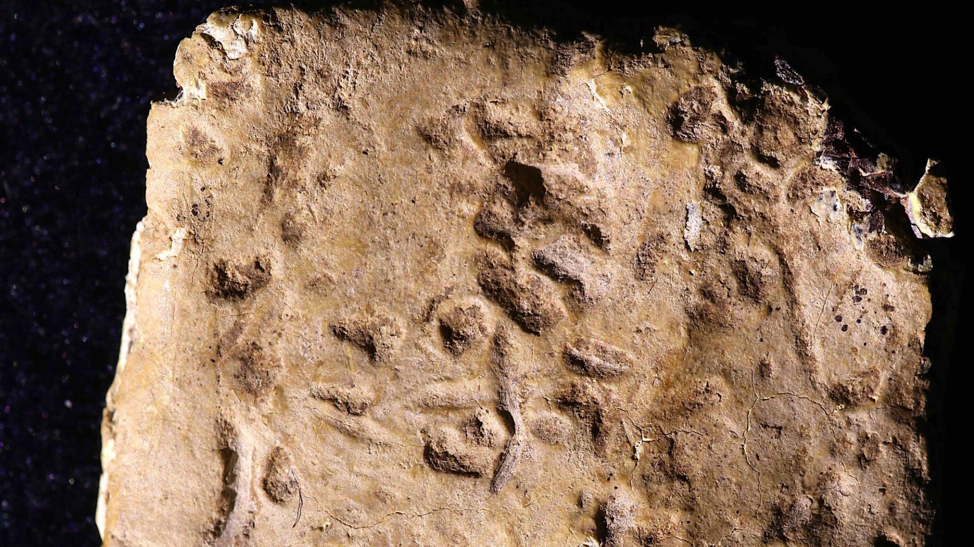 Archaeologists have found the most terrifying curse tablet ever ...