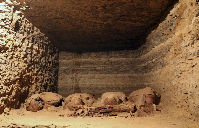 Smell and tell: Scents of Egyptian mummies reveal ancient knowledge