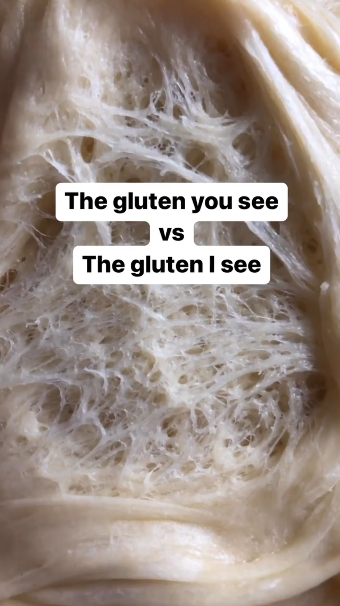 What gluten really looks like under a microscope