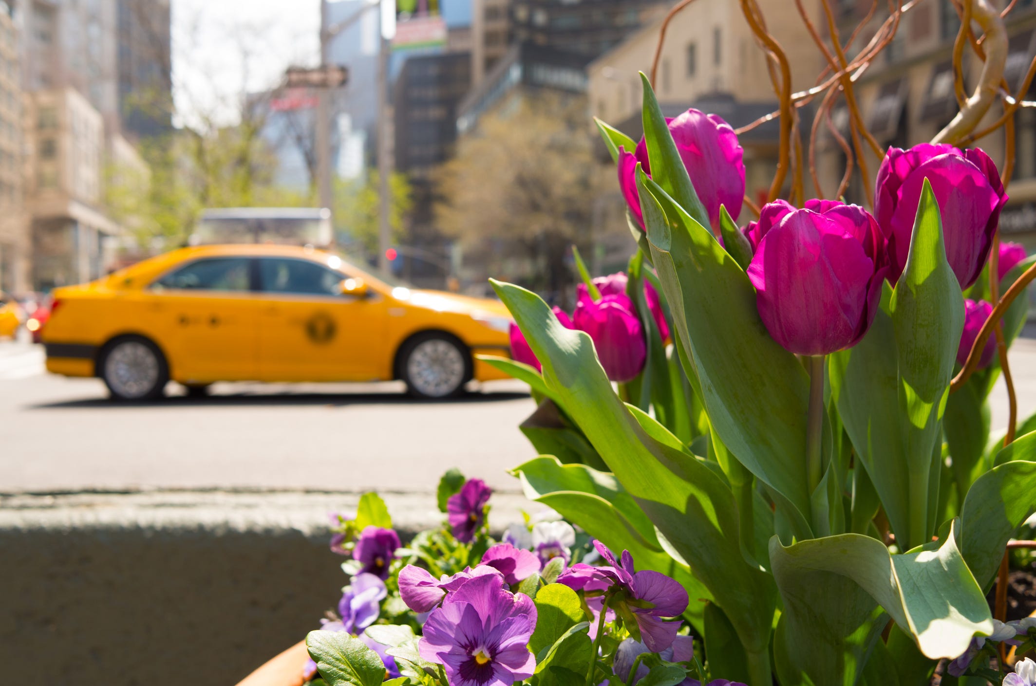 When does spring start in 2026? Exact time for the spring equinox