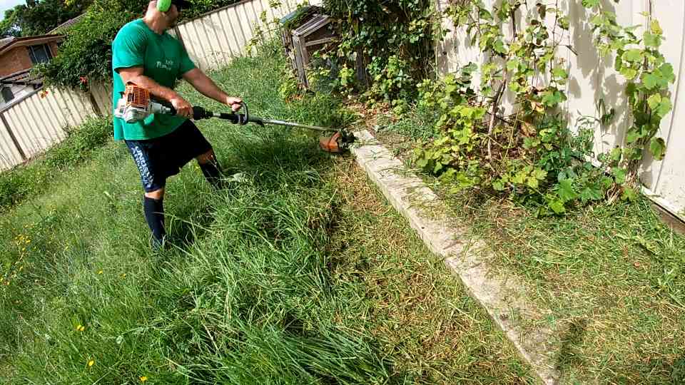 Massive overgrown yard transformed through tall grass cutting
