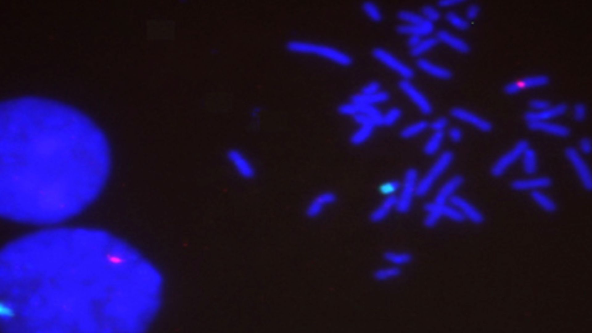 Researchers analyzed DNA to figure out how many of today’s people are ...