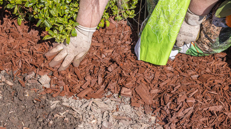 Telltale signs that it's time to remove old mulch and start new