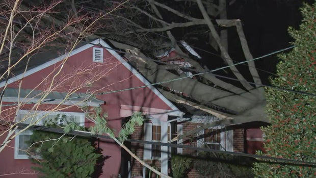Philadelphia region cleans up after storms knock down trees, power ...
